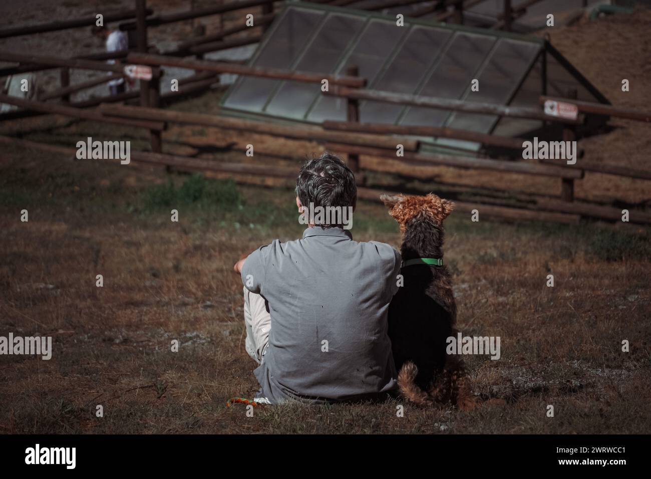 Human and dog together hi-res stock photography and images - Alamy