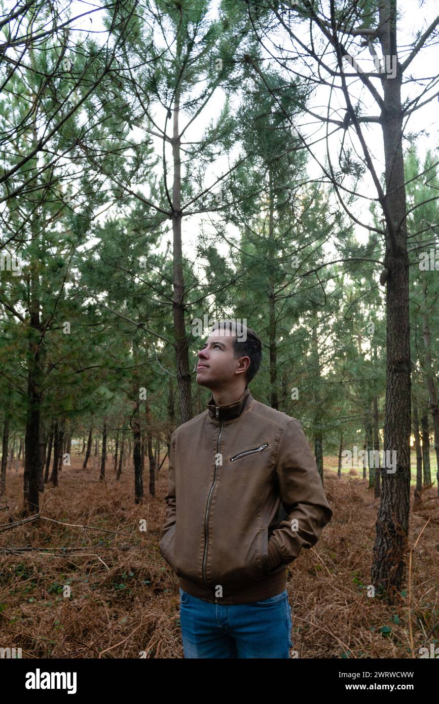 Stock photo of A young man standing in a forest alone looking up trees ...