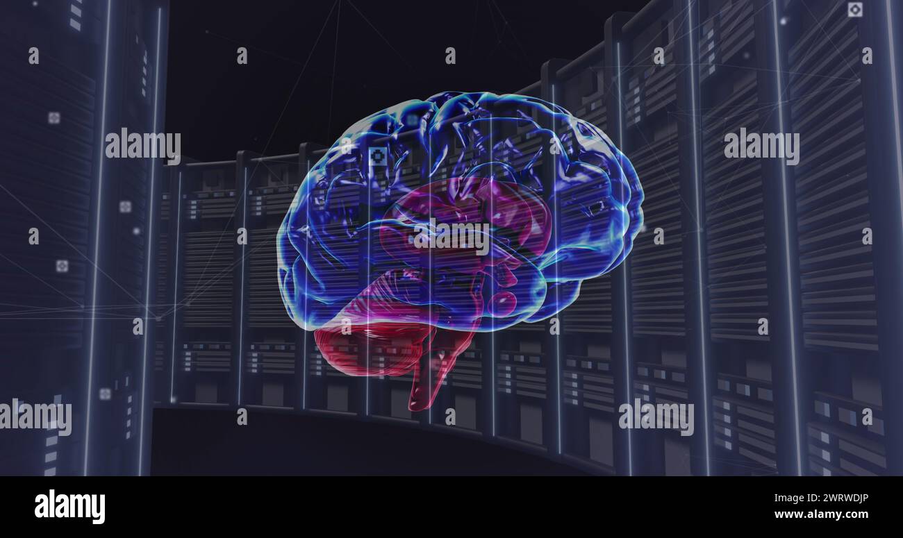 Image of human brain over computer servers Stock Photo - Alamy
