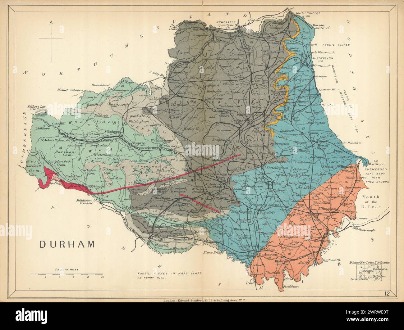 COUNTY DURHAM Geological map. STANFORD 1904 old antique vintage plan ...