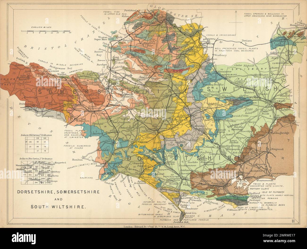 DORSET, SOMERSET AND SOUTH WILTSHIRE Geological map. STANFORD 1904 old ...