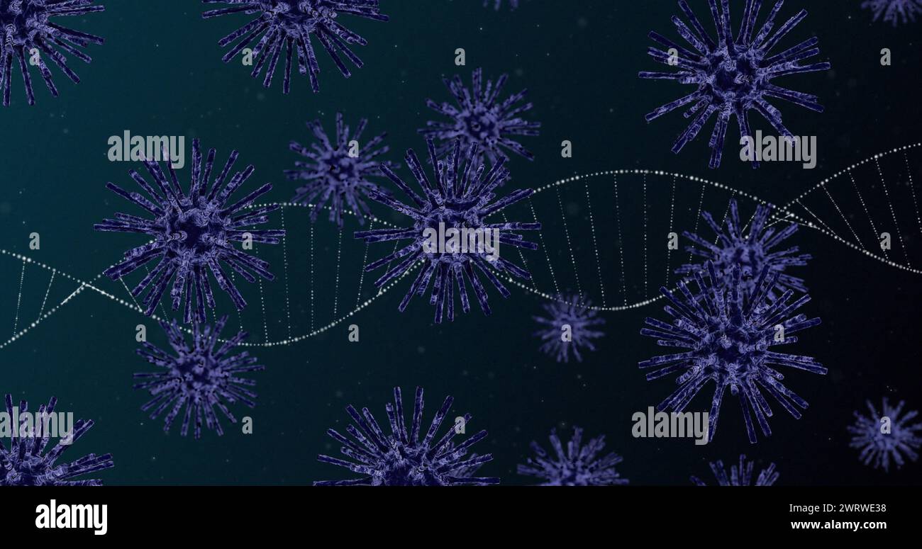 Image of virus cells over dna strand Stock Photo - Alamy