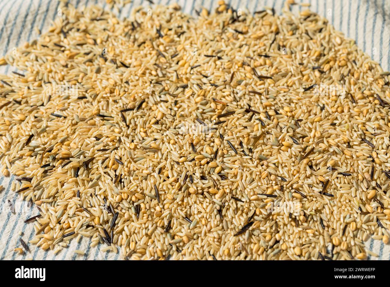 Dry Raw Organic Wild Rice in a Bowl Stock Photo - Alamy