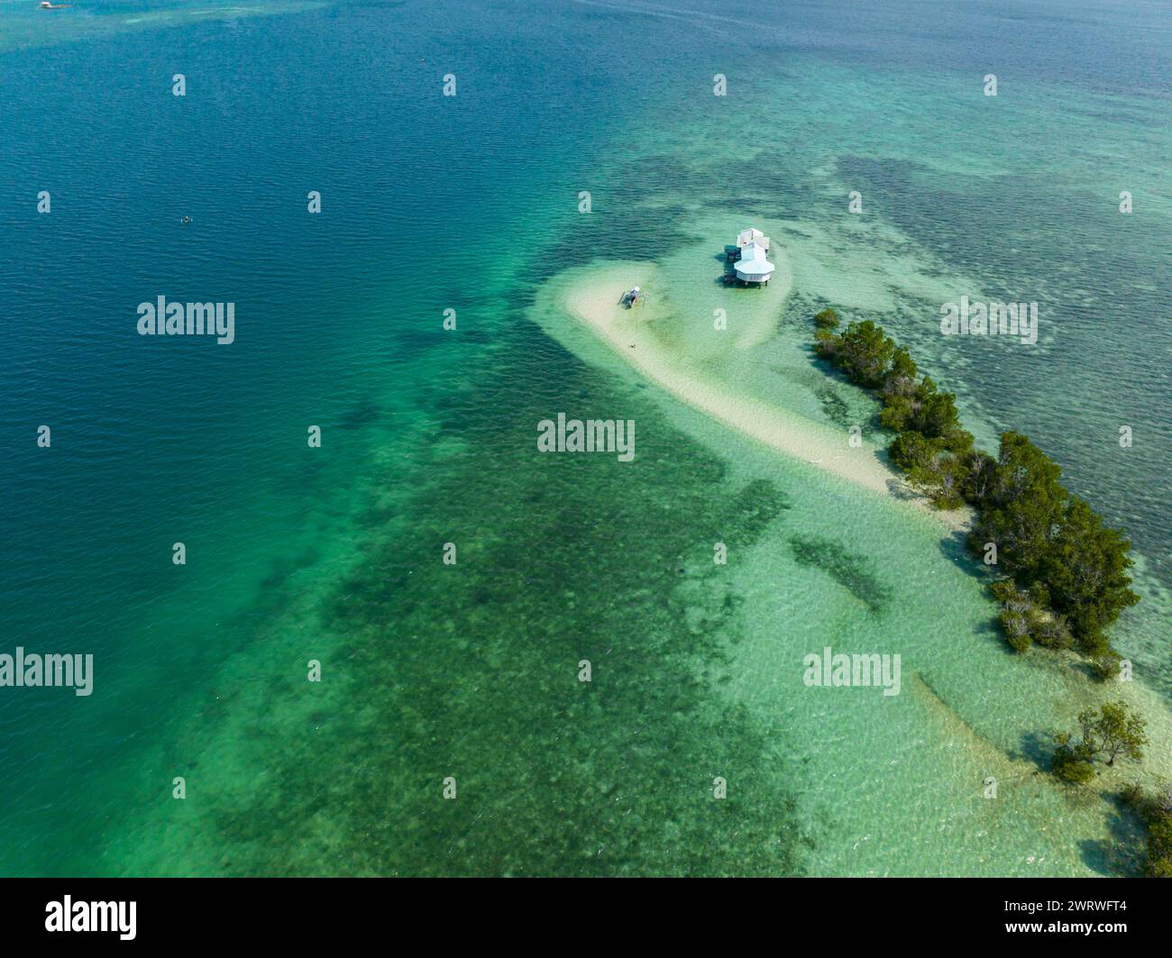 Transparent turquoise water and sandbar. Mangroves and waves. Vanishing ...