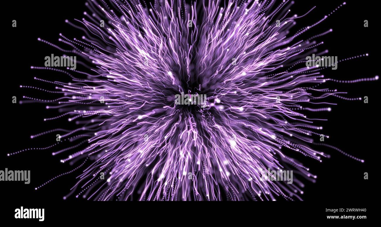 Digital image of purple light trail exploding against black background ...