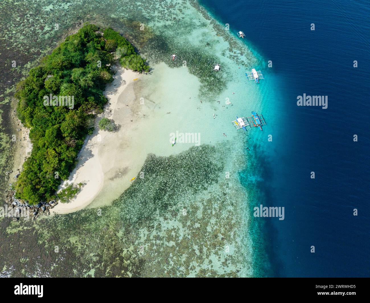 Beautiful Islet with green plants and sandy beach. CYC Beach in Coron ...