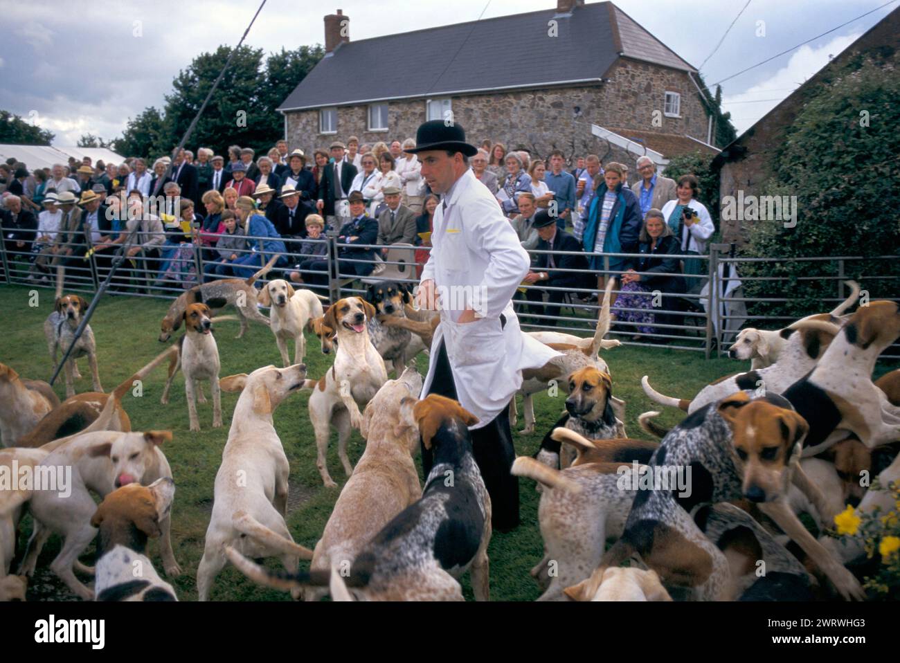 Puppy show held annually during the summer. Quantock Staghounds ...