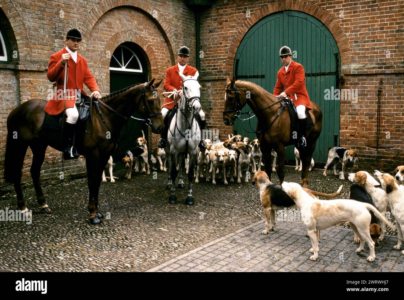 Quantock stag hounds hi-res stock photography and images - Alamy