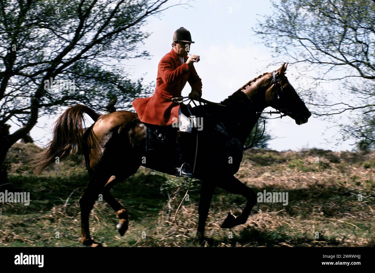 Quantock Staghounds 1990s Uk. Quantock Hills Somerset and Exmoor Devon ...
