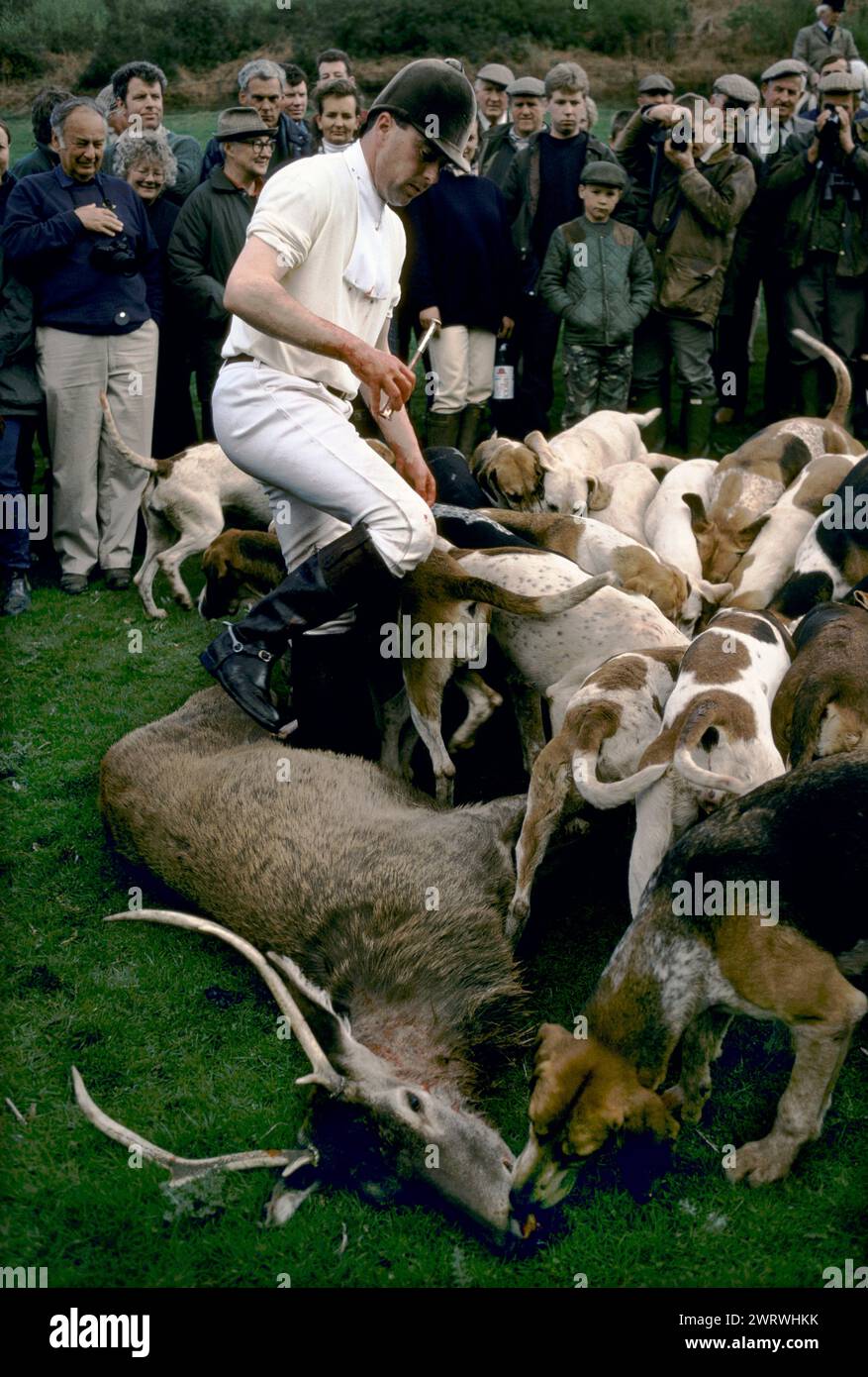 Stag hunting people hi-res stock photography and images - Alamy