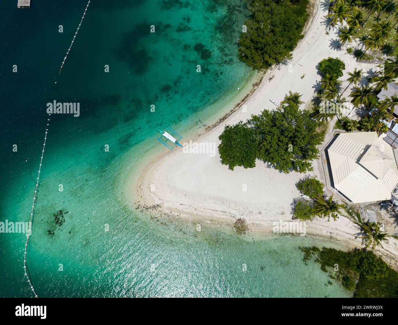 Tropical island with white sand beach and palm trees. Transparent water ...