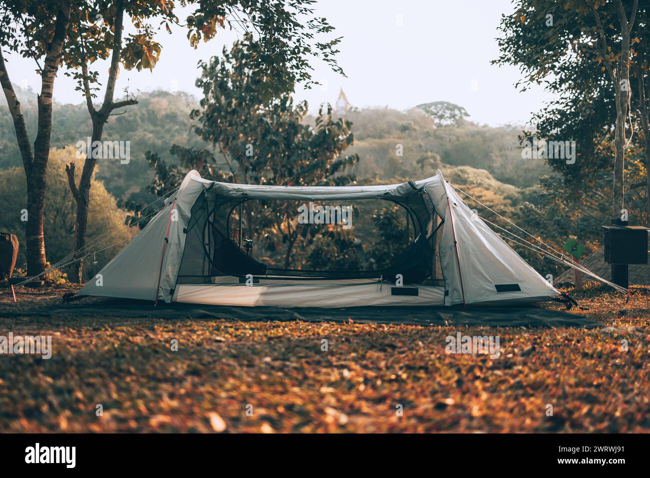 Gray tent on the grass in the forest The view behind is the mountain in ...