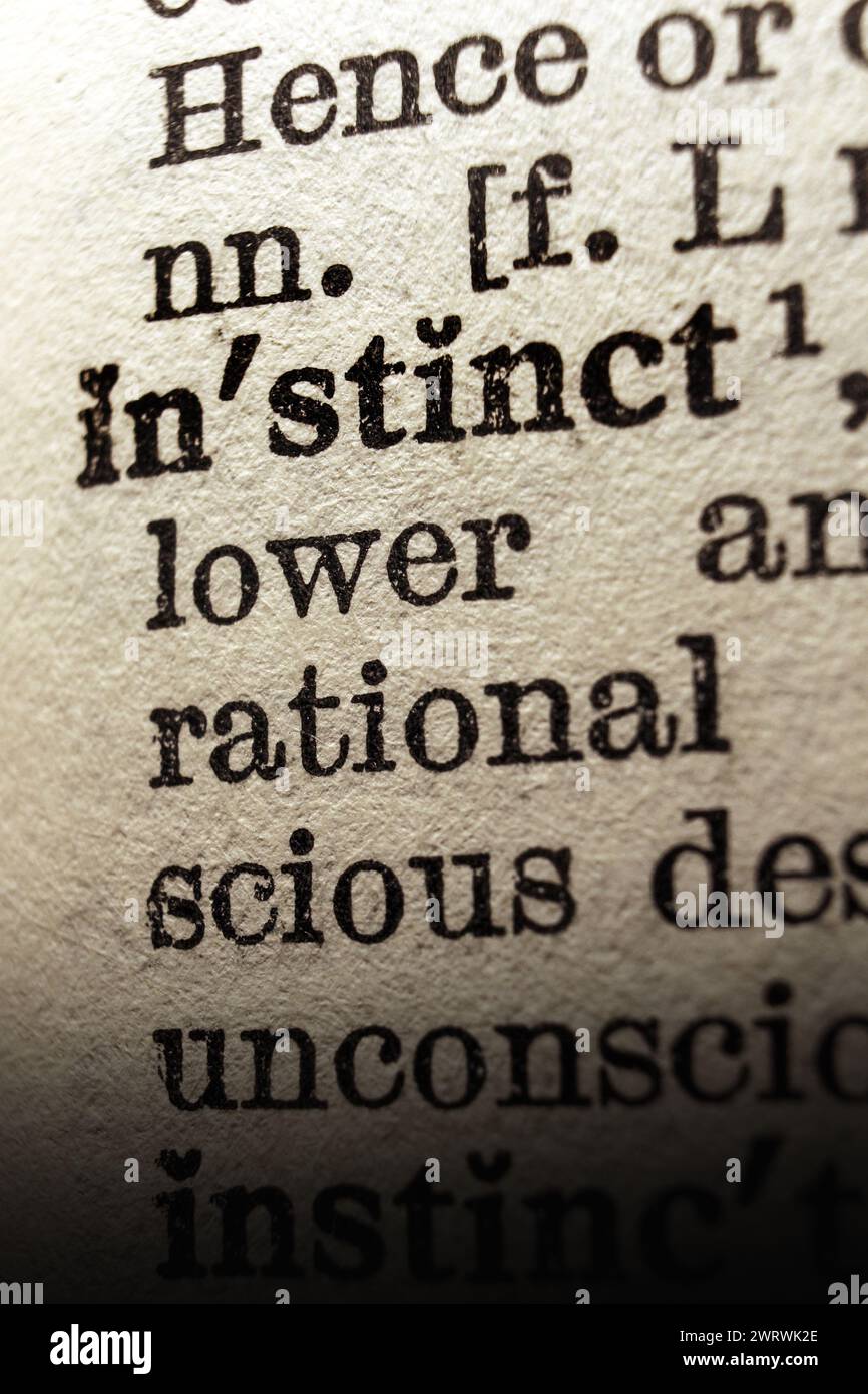 Word instinct on dictionary page, macro close-up Stock Photo - Alamy