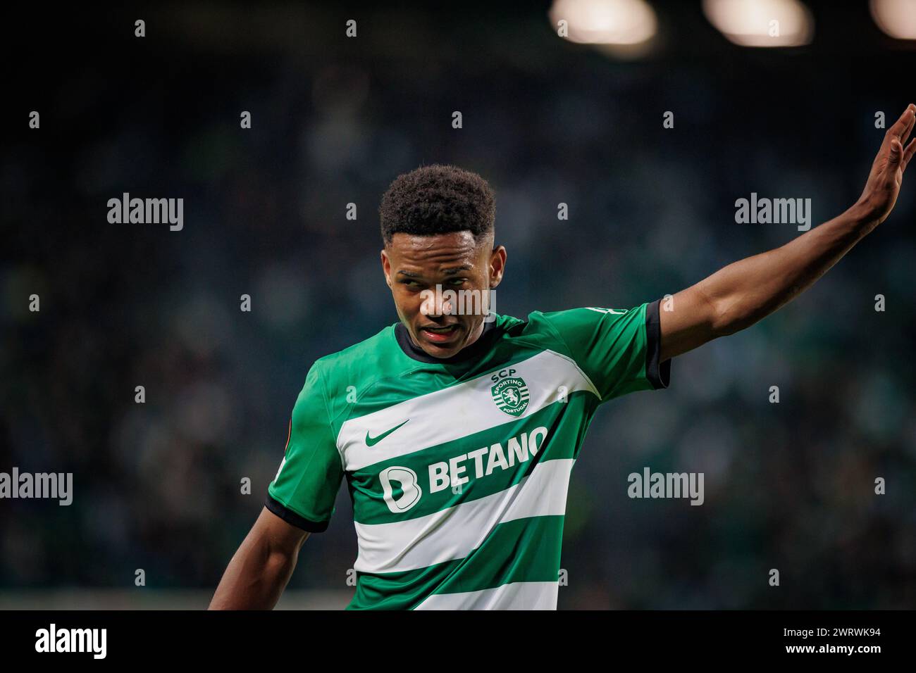 Geny catamo hi-res stock photography and images - Alamy