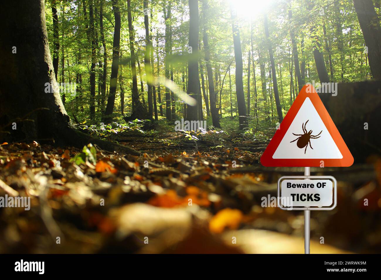 Warning sign for infected ticks in a forest. Risk of tick and Lyme ...