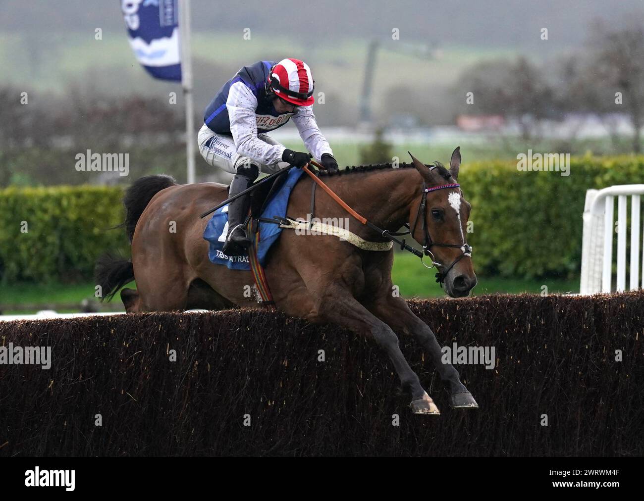 Cheltenham festival 2024 st patricks thursday cheltenham ra hi-res ...
