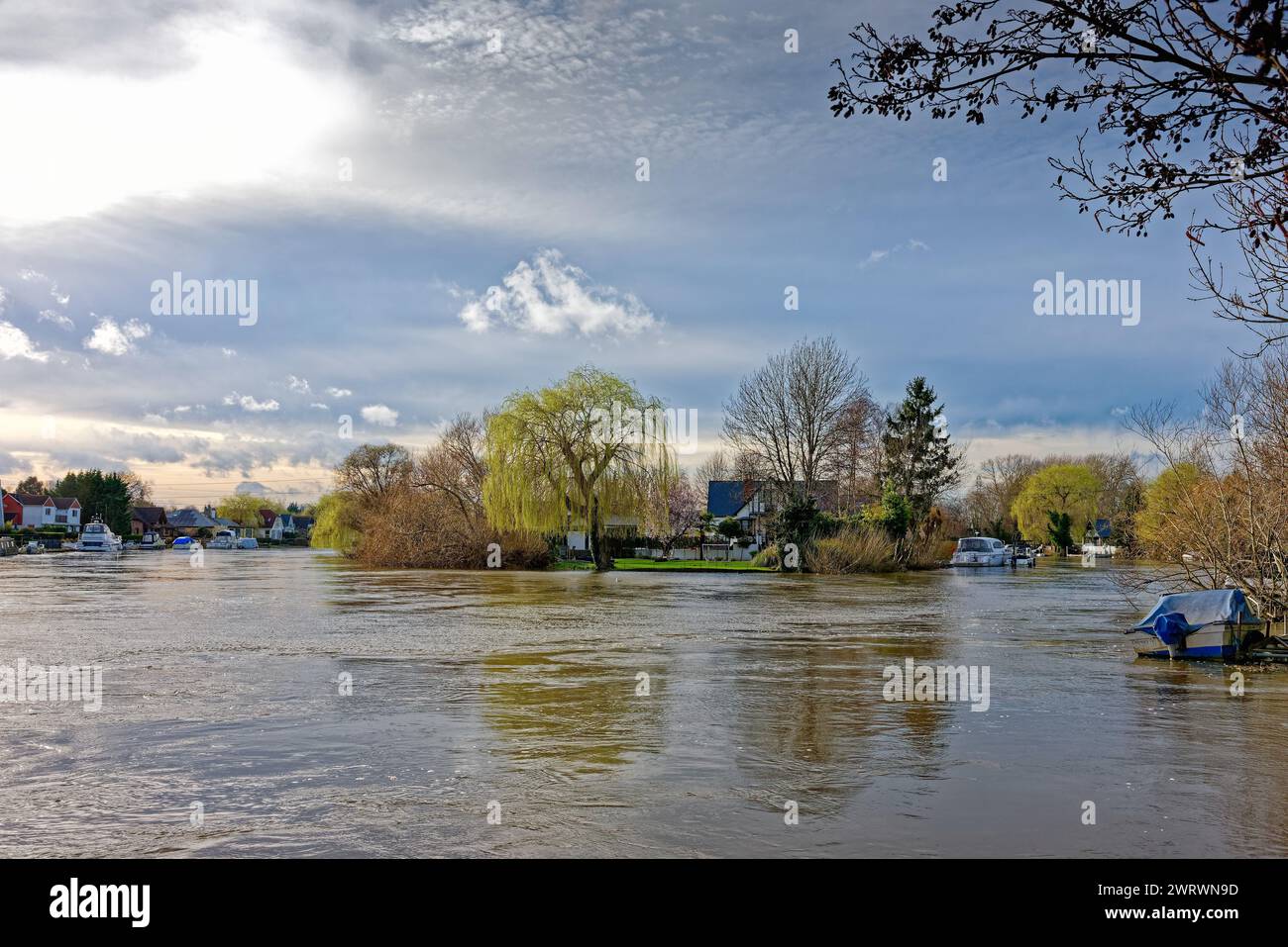 The River Thames in full flood at Shepperton on a winters evening ...