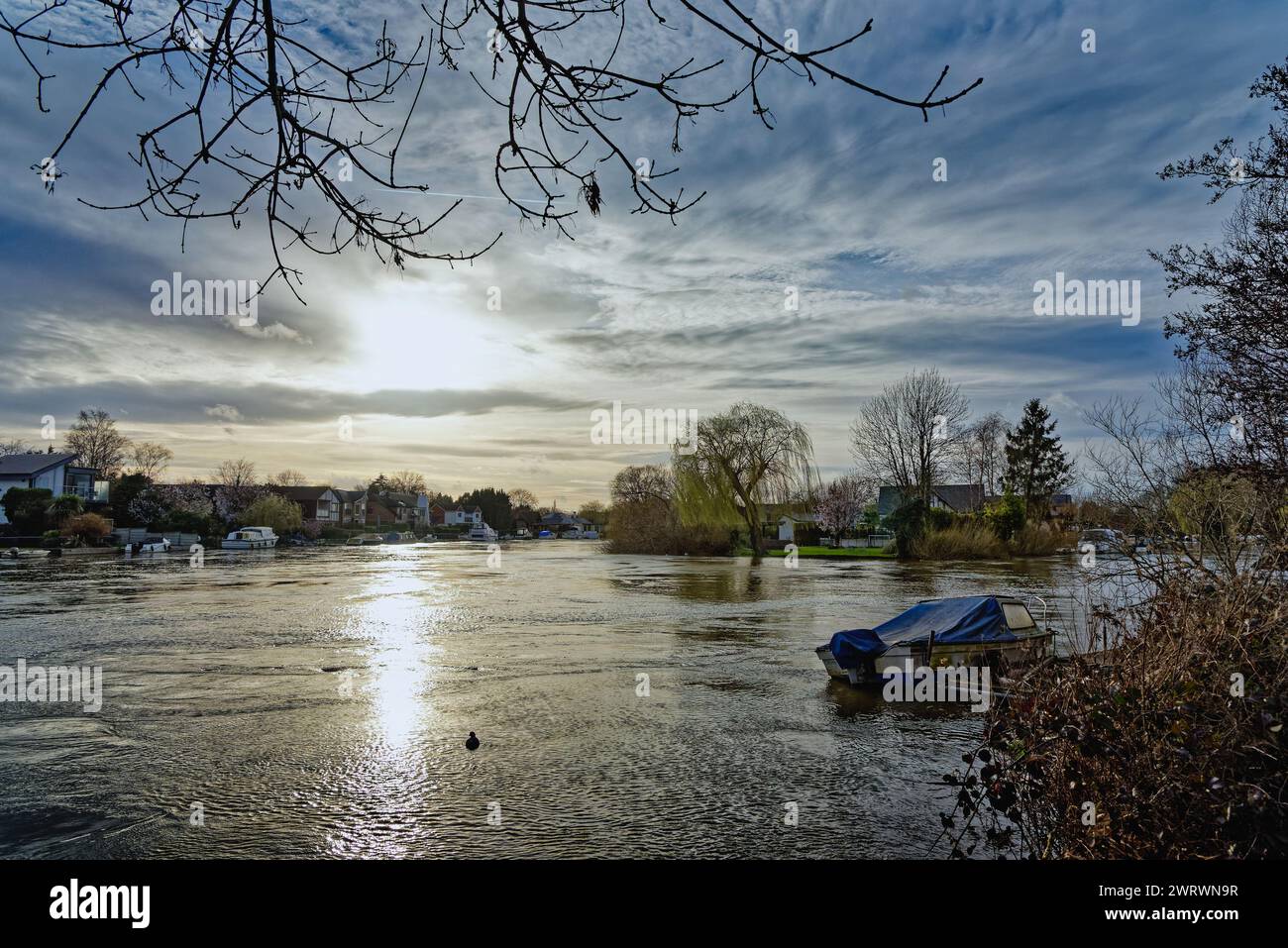 The River Thames in full flood at Shepperton on a winters evening ...