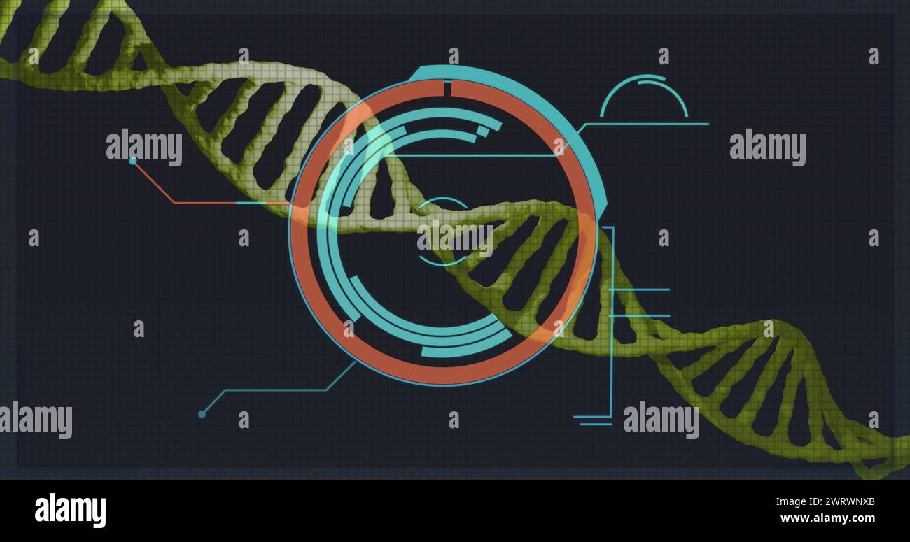 Dna replication visualization hi-res stock photography and images - Alamy