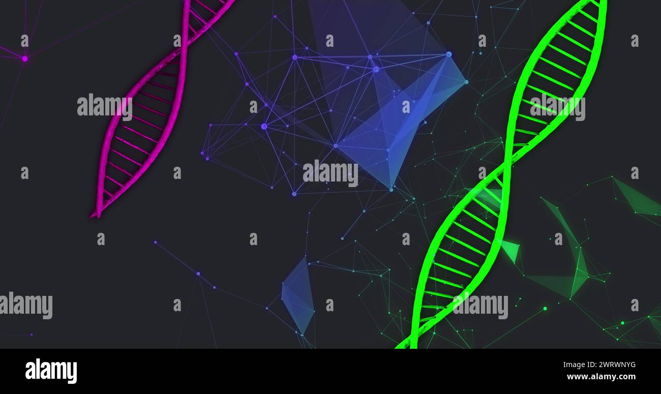 Image of networks of connections and dna strands spinning Stock Photo ...