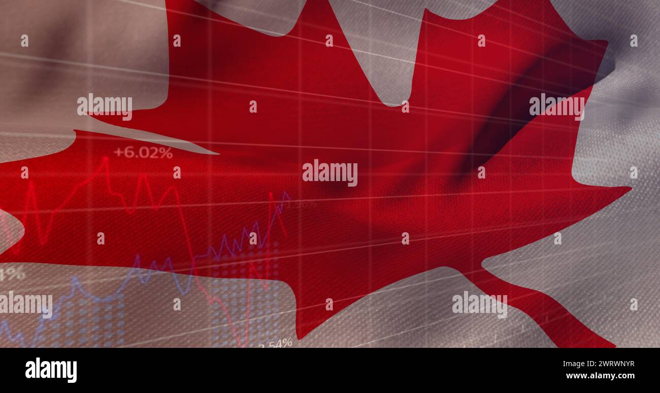 Image of waving canada flag over financial data processing Stock Photo ...
