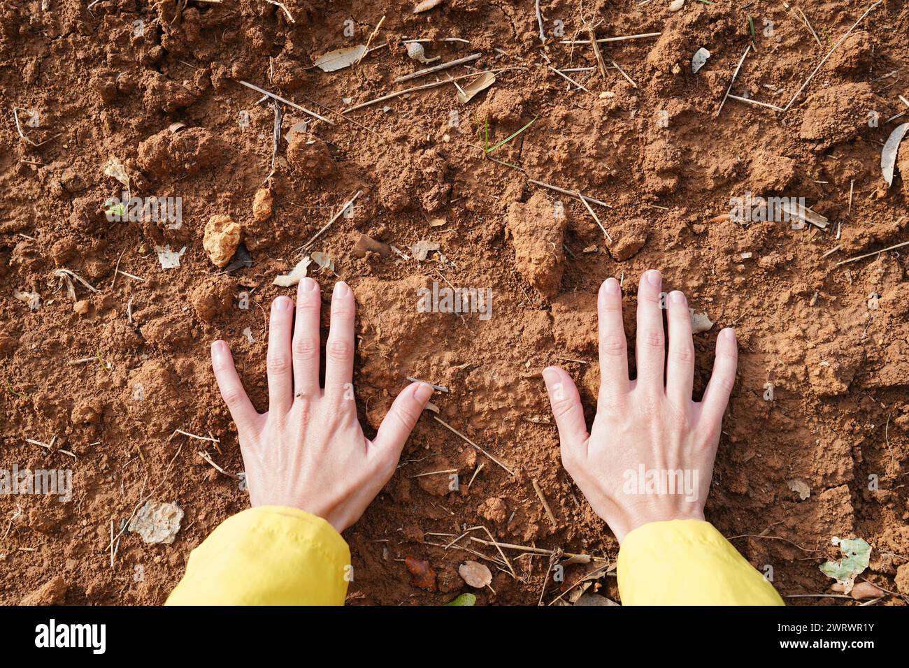 Two hands are in the land. connection to planet Earth Stock Photo - Alamy