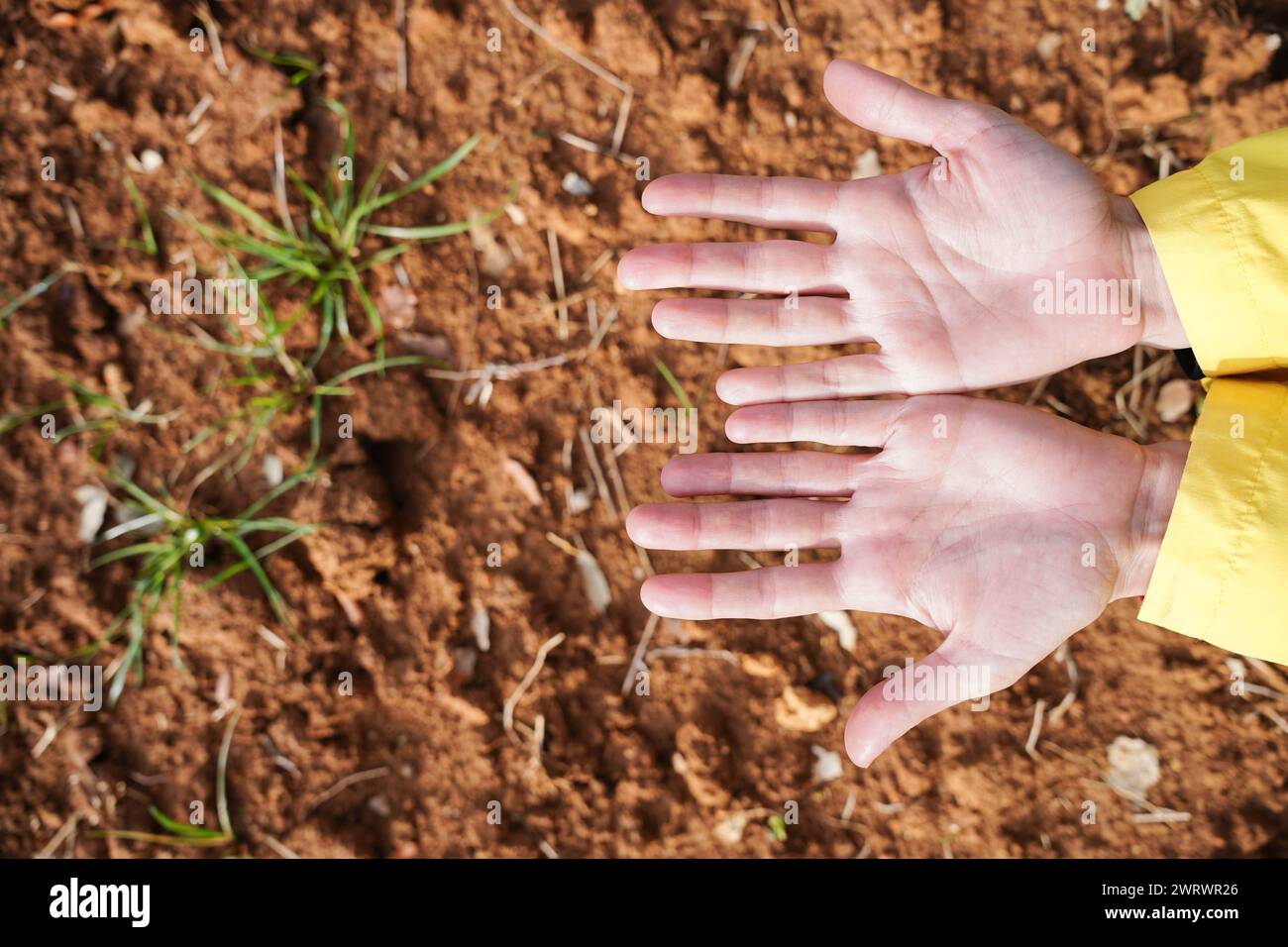 farmer hands before working in the field. ecology and conservation ...