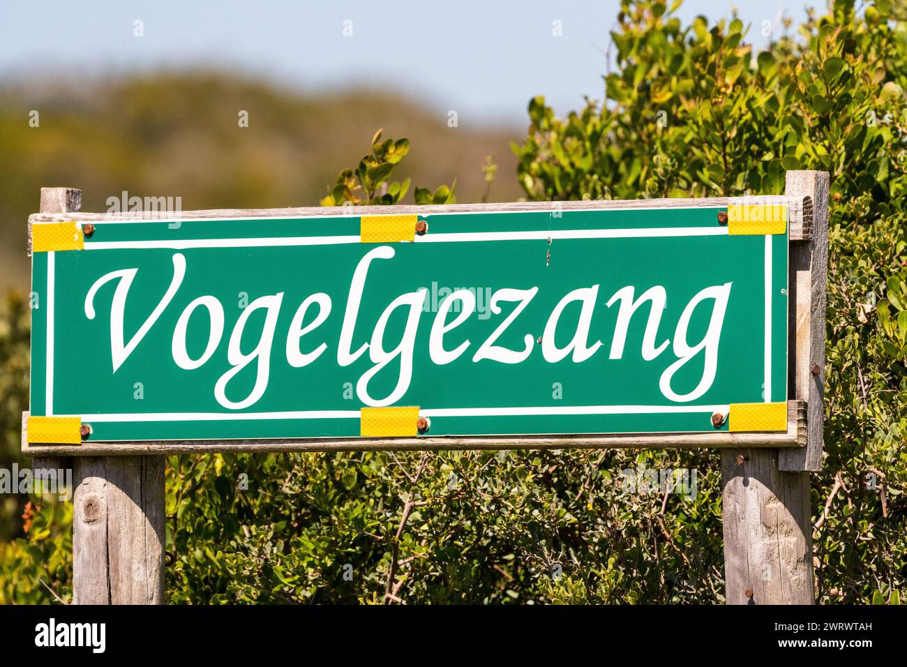 Vogelgezang hi-res stock photography and images - Alamy