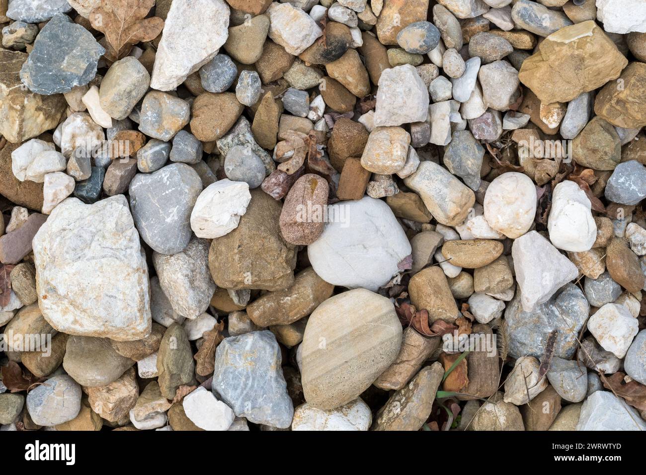 Small pebbles of various sizes and colors in a river in northern Italy ...