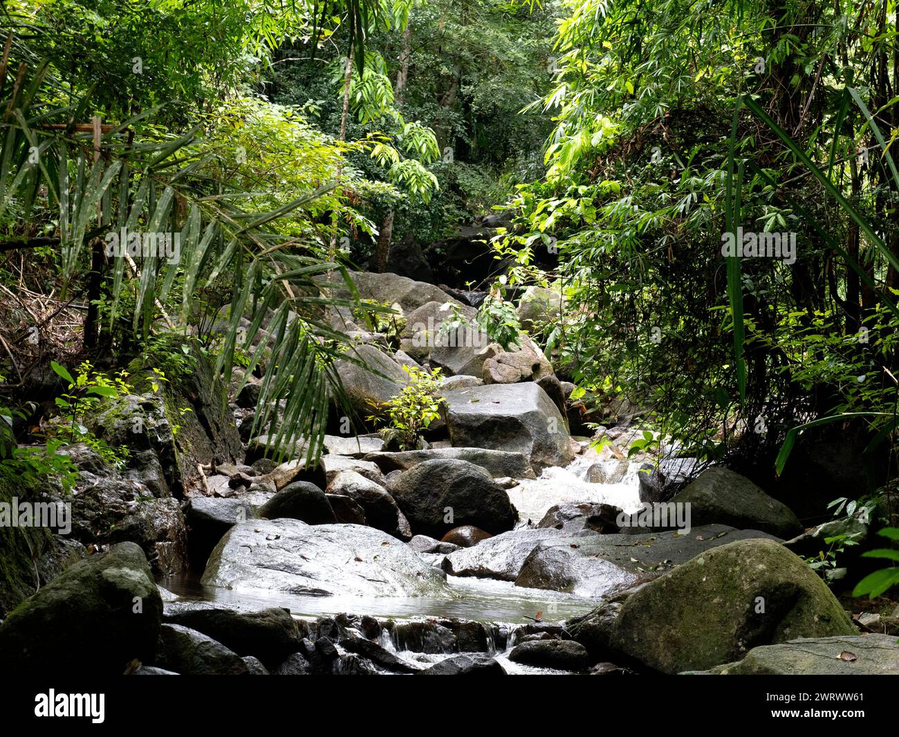 View of river flowing over boulder rocks, Near Bang Pae Waterfall, Khao ...