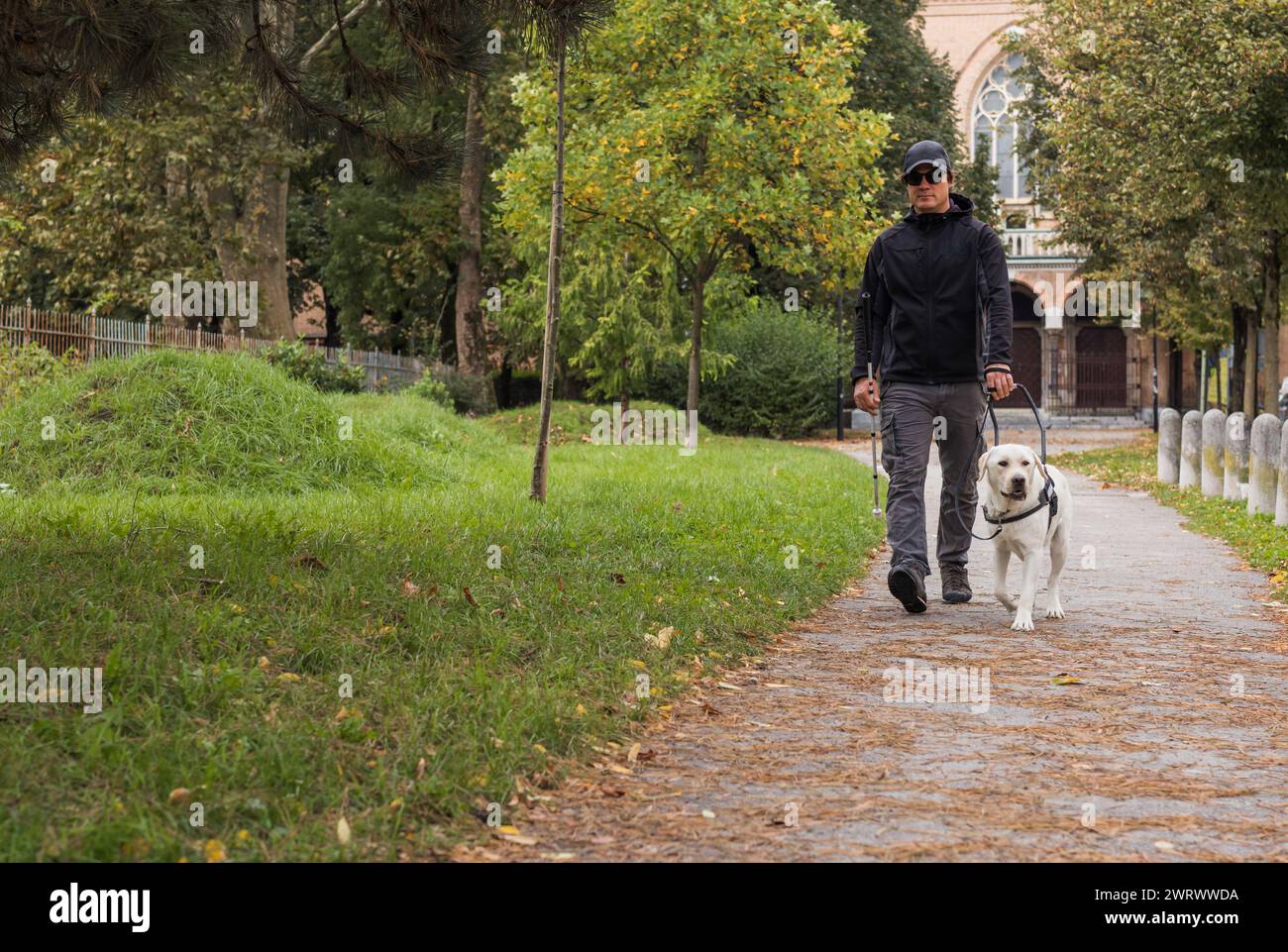 Blind man safely walking with a guide dog assistance through the park ...