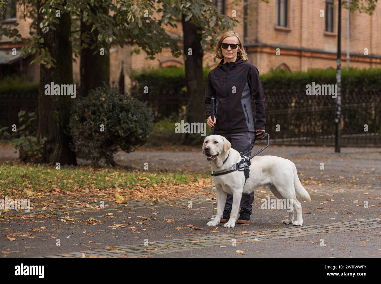 Visually impaired woman walking along city park with a guide dog ...