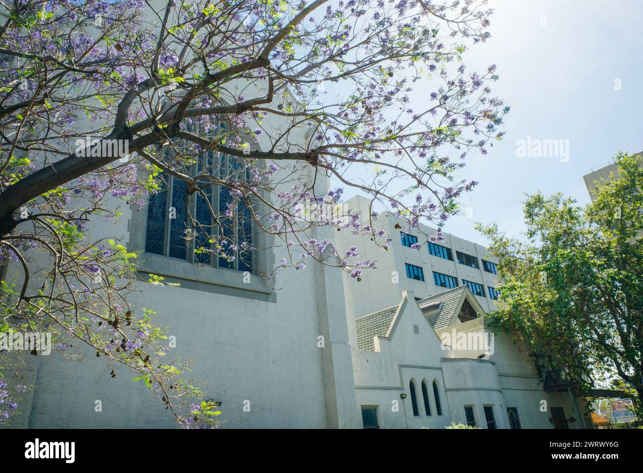 Religious School Wilshire Boulevard Temple in los angeles, usa - mar ...