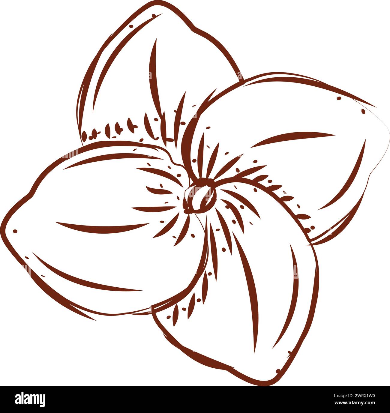 Flower sketch icon Sprimg season Vector Stock Vector Image & Art - Alamy