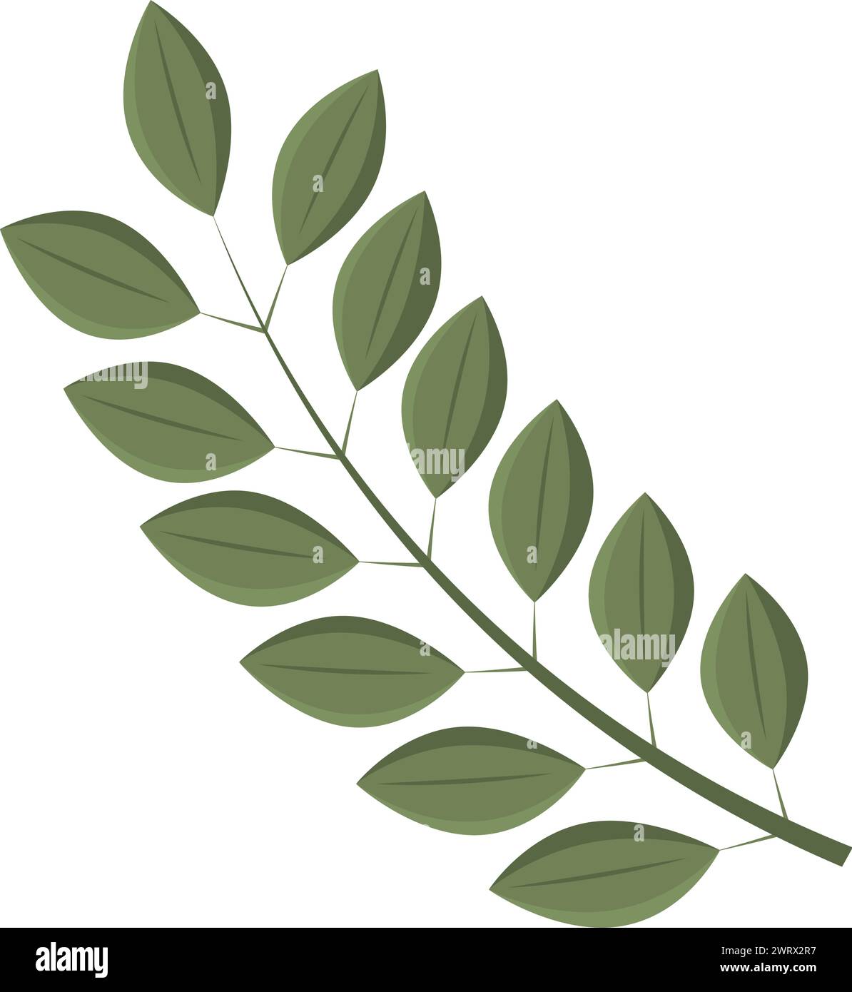 Tree leaf colored icon Vector Stock Vector Image & Art - Alamy