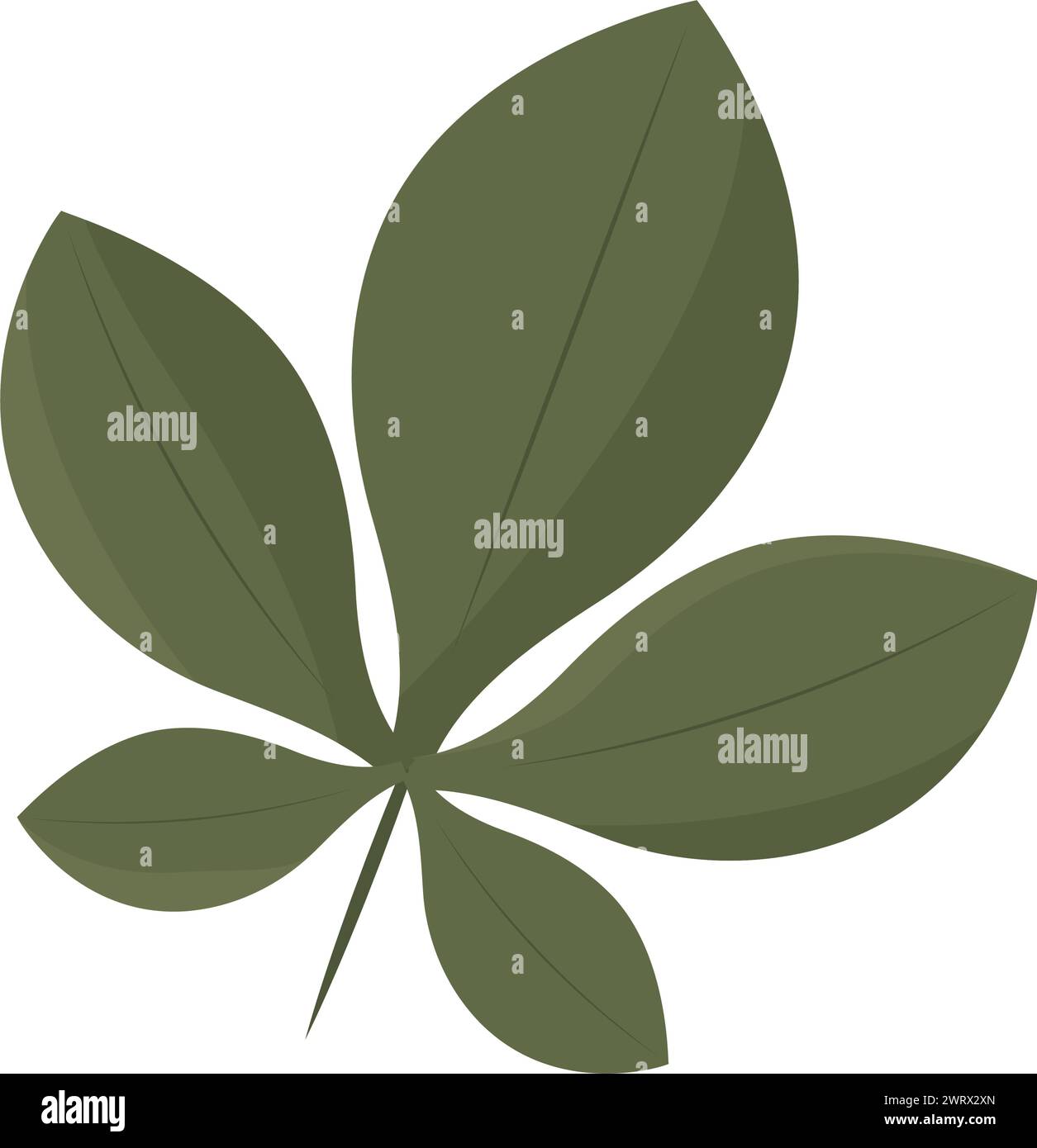Tree leaf colored icon Vector Stock Vector Image & Art - Alamy