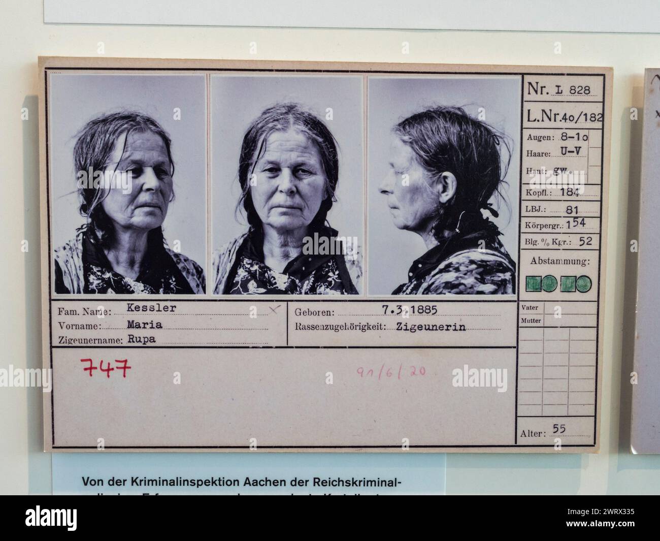 Reich (1936) photograph file card for Maria Kessler on display in the ...