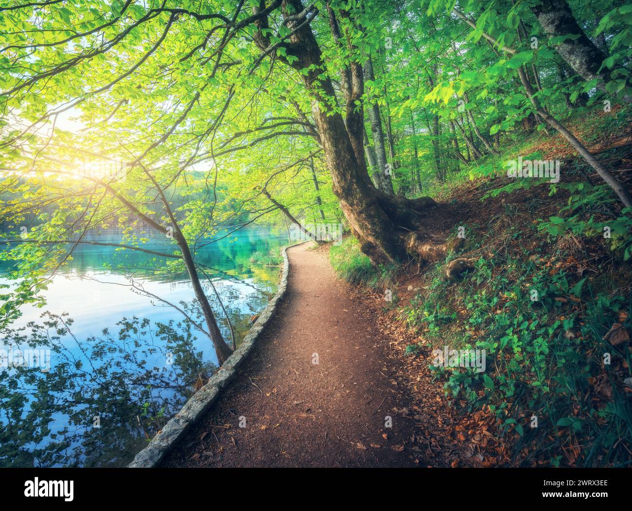 Beautiful path walk in hi-res stock photography and images - Alamy