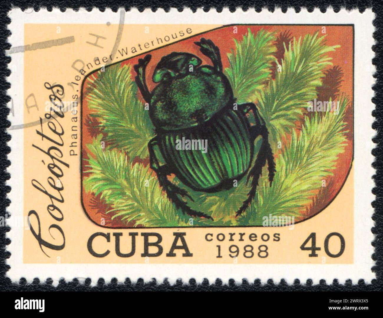 Postage stamp printed in CUBA shows image of a Scarab ( Phanaeus ...