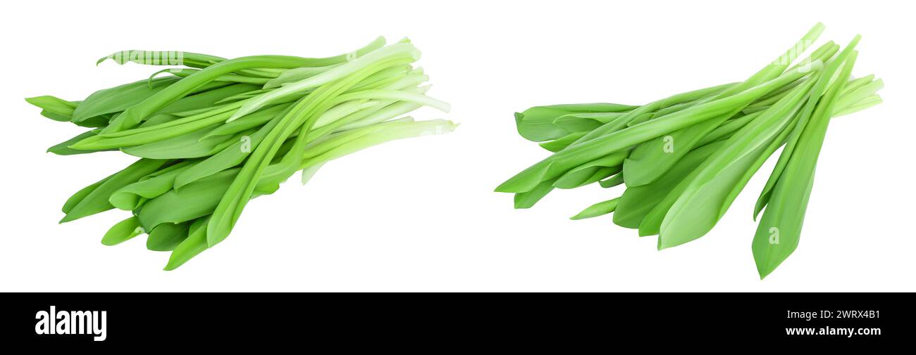Ramson bunch vegetable isolated on white background with full depth of ...