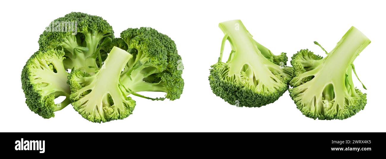 fresh broccoli isolated on white background close-up with full depth of ...