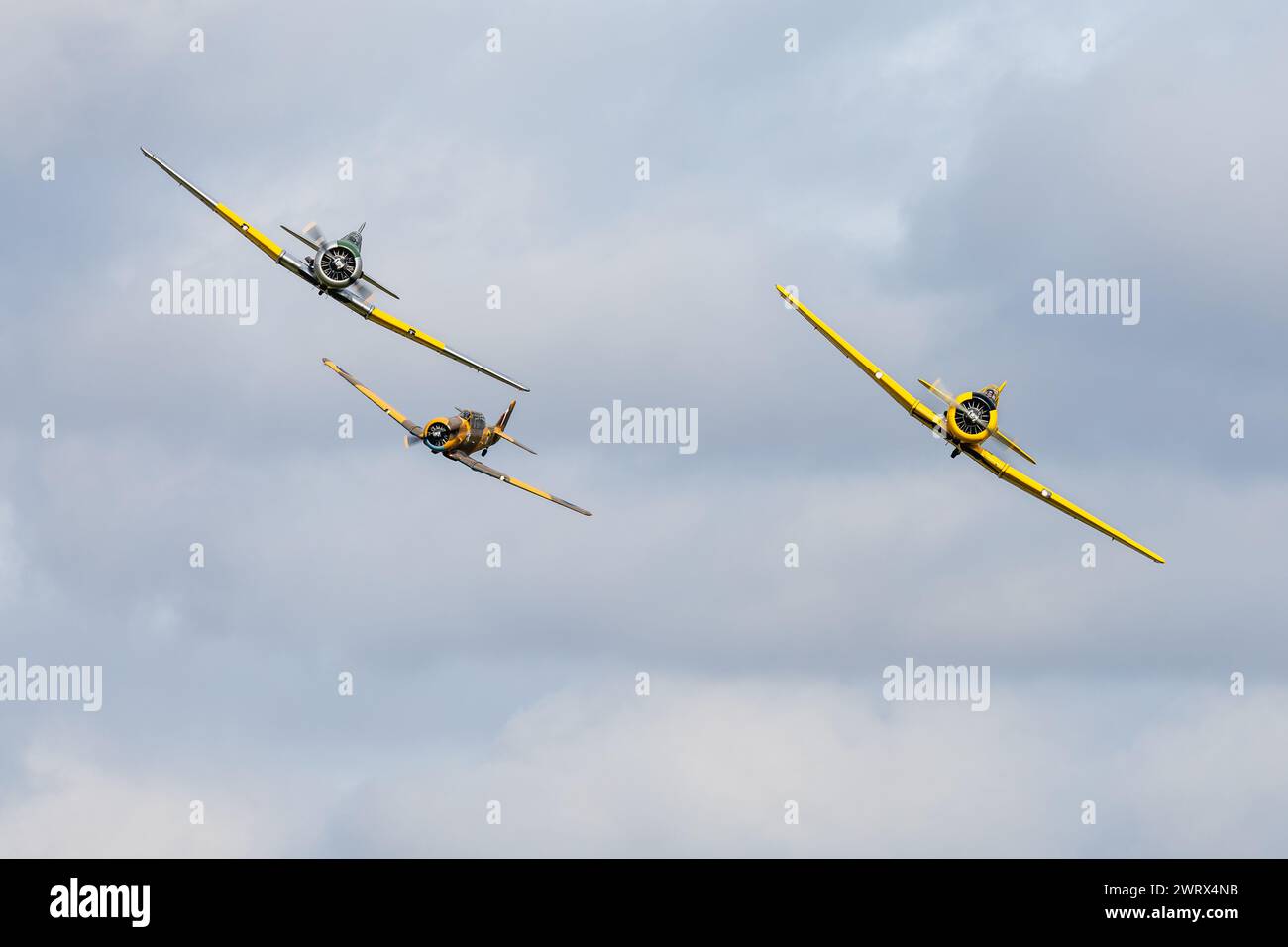 3 Harvard aircraft airborne at the Race Day airshow held at ...