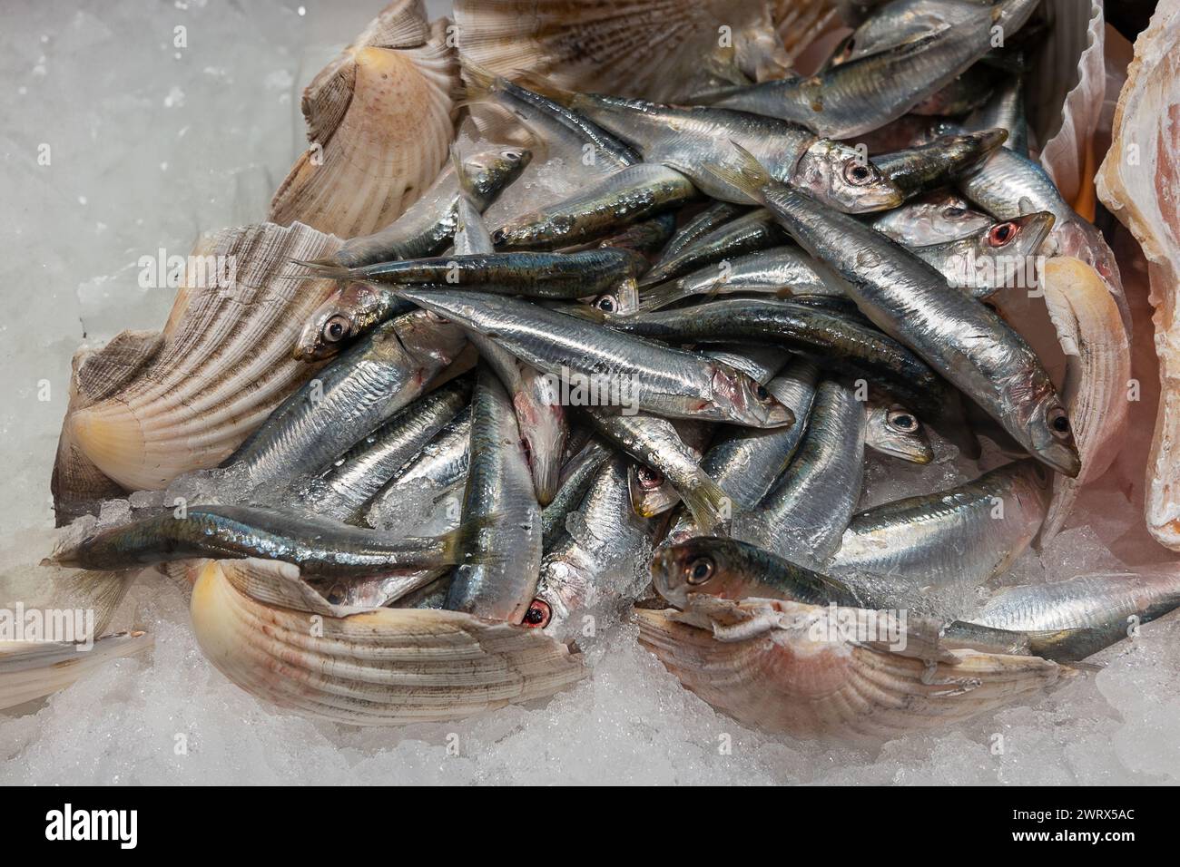Anchovies sale on fish market hi-res stock photography and images - Alamy