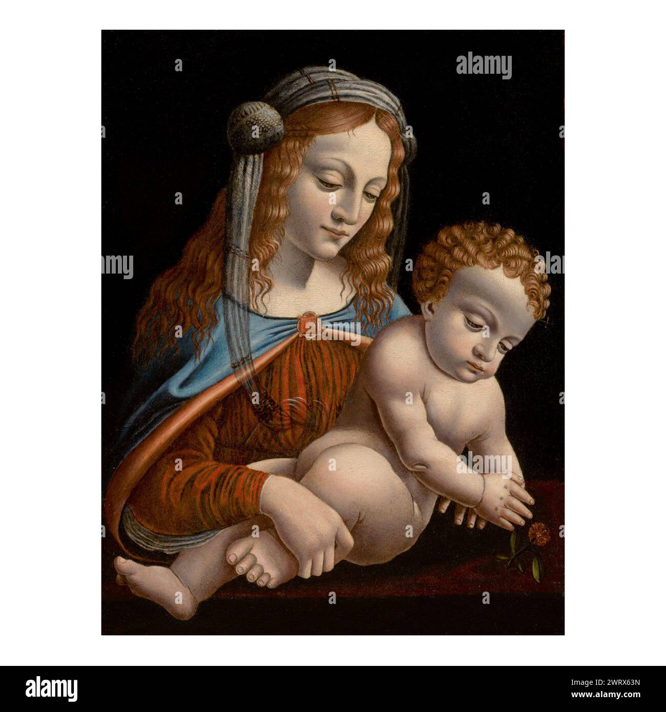 Renaissance painting attributed to bernardino de conti hi-res stock photography and images - Alamy