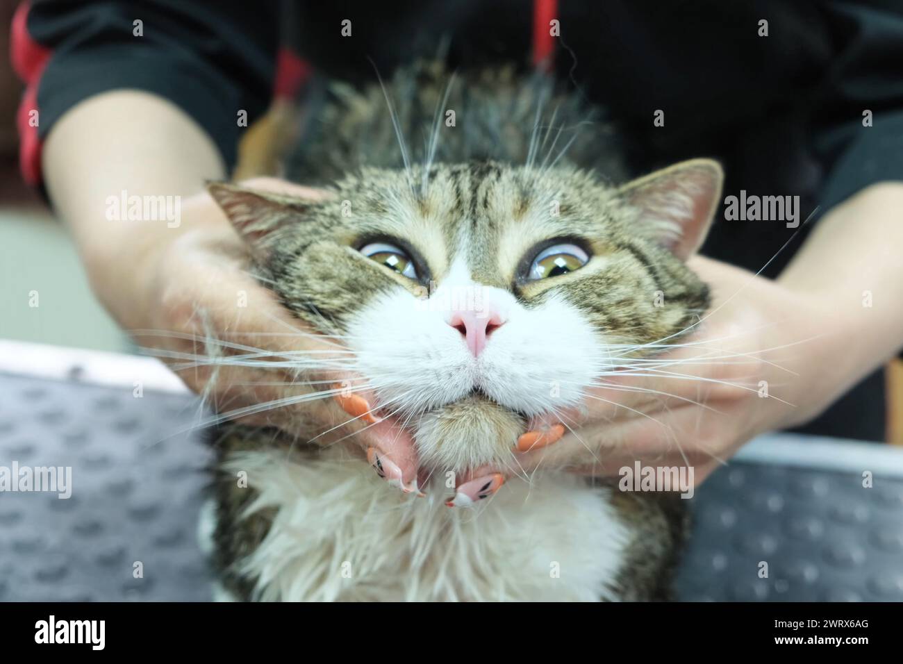 Restorative routine hi-res stock photography and images - Alamy