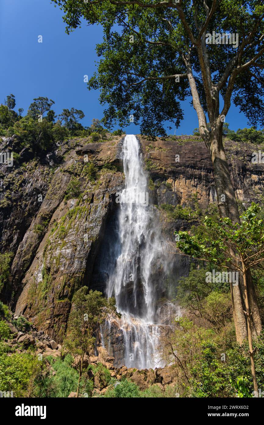 A sunny day in the woods featuring a picturesque waterfall cascading ...