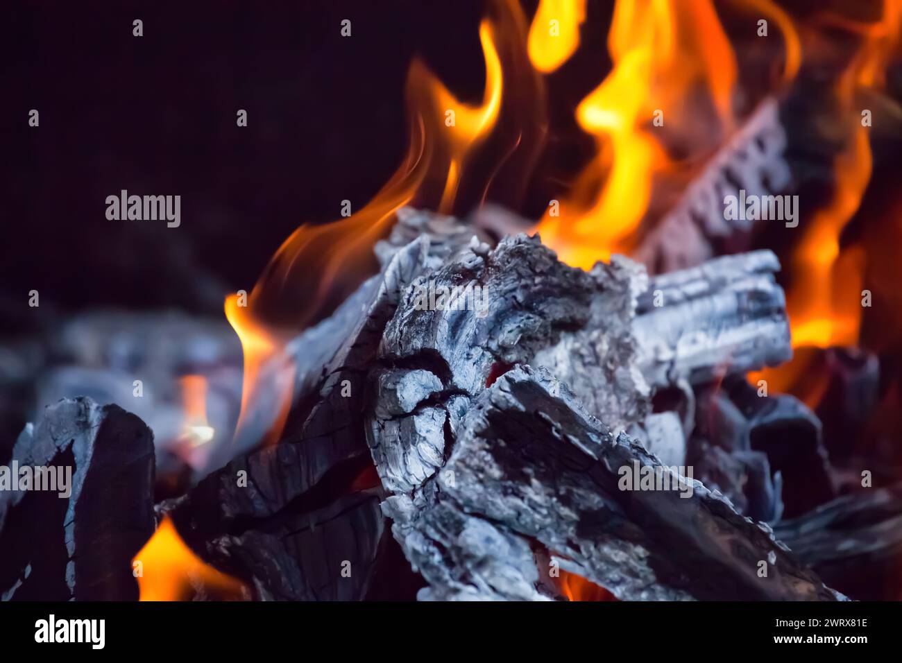 Bonfire burns on picnic camping hi-res stock photography and images - Alamy