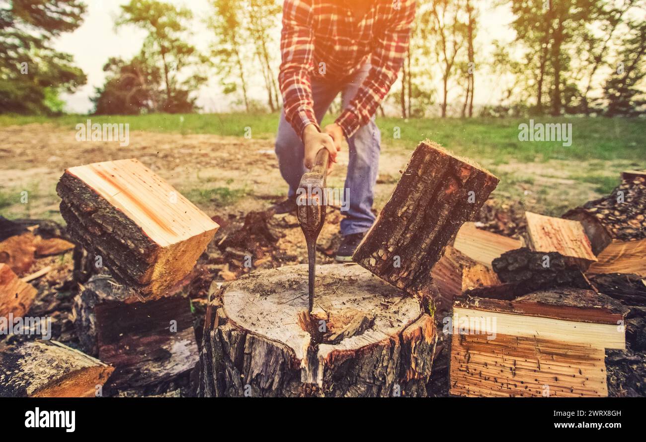 Forester ax in forest hi-res stock photography and images - Alamy