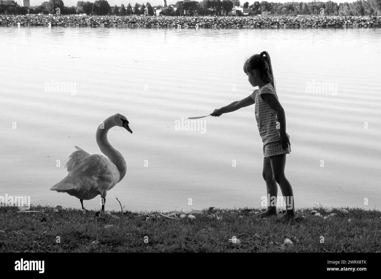 king swan and the little princess Stock Photo - Alamy