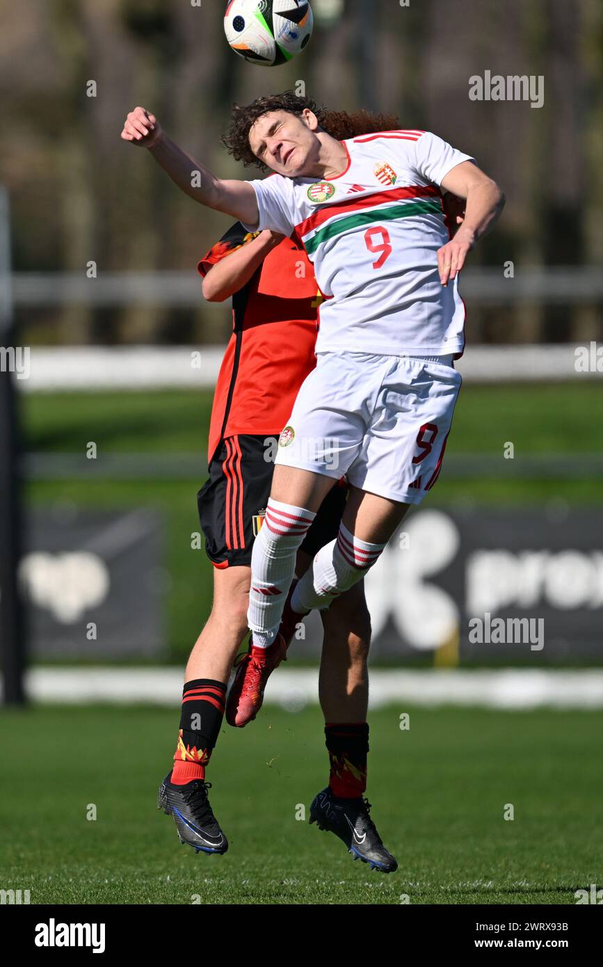 Tubize, Belgium. 14th Mar, 2024. Aaron Ibrahim (16) of Belgium pictured ...